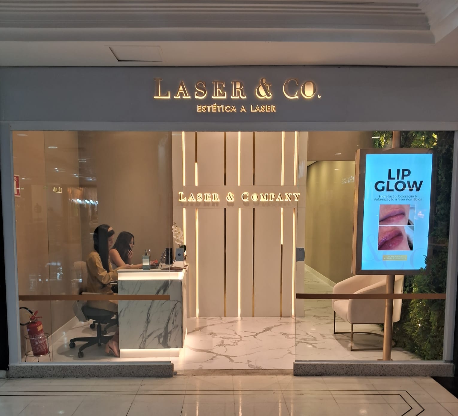 Laser & Company Brasil - Lasers para o corpo todo